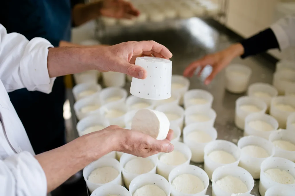 Fromages - en Ardèche