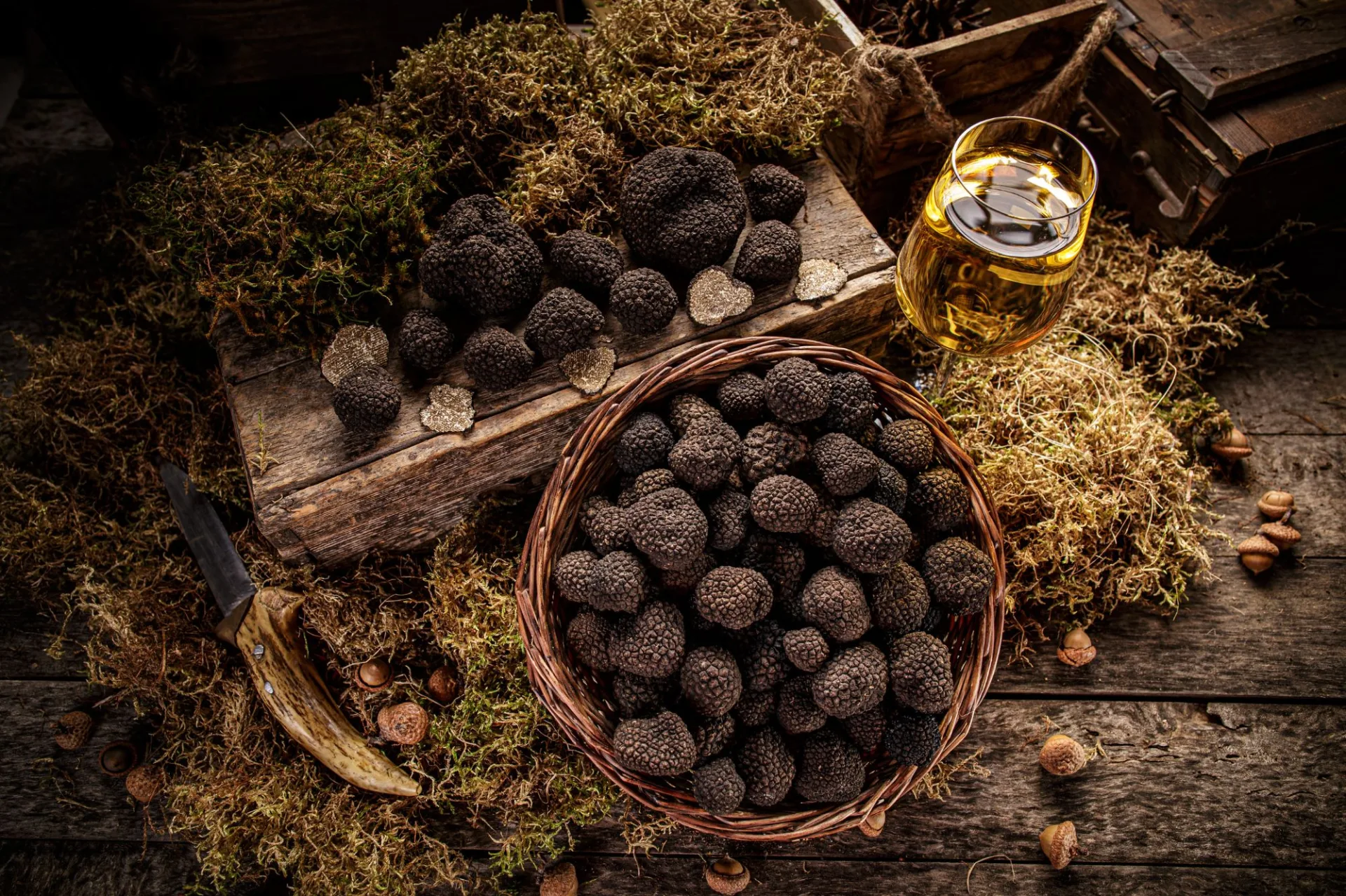La truffe - en Ardèche